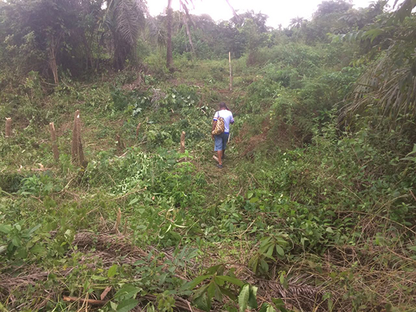 Media - The Brooks Community Health Center