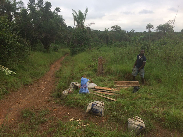 Media - The Brooks Community Health Center